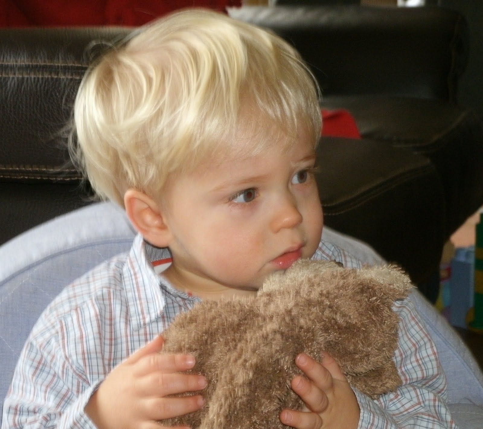 Famille Scott Collignon