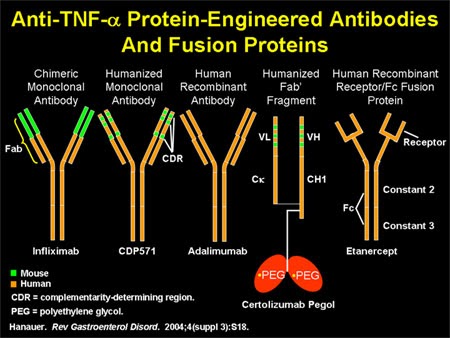 Nephrology World: TNF alpha inhibitors and the Kidney