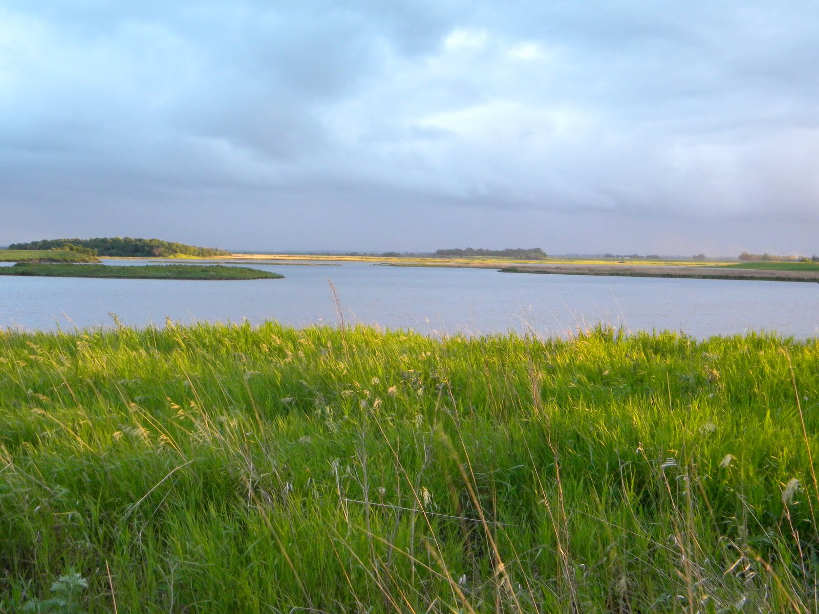Slow Birding: North Dakota Prairie Potholes and All