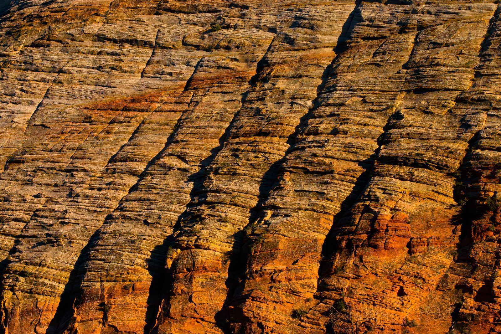 365 Days in Zion: Day 346: September 6, 2005 - Lines in the Rock