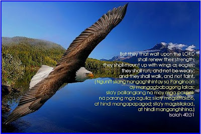 Shared Bible Verses: Renew their Strength