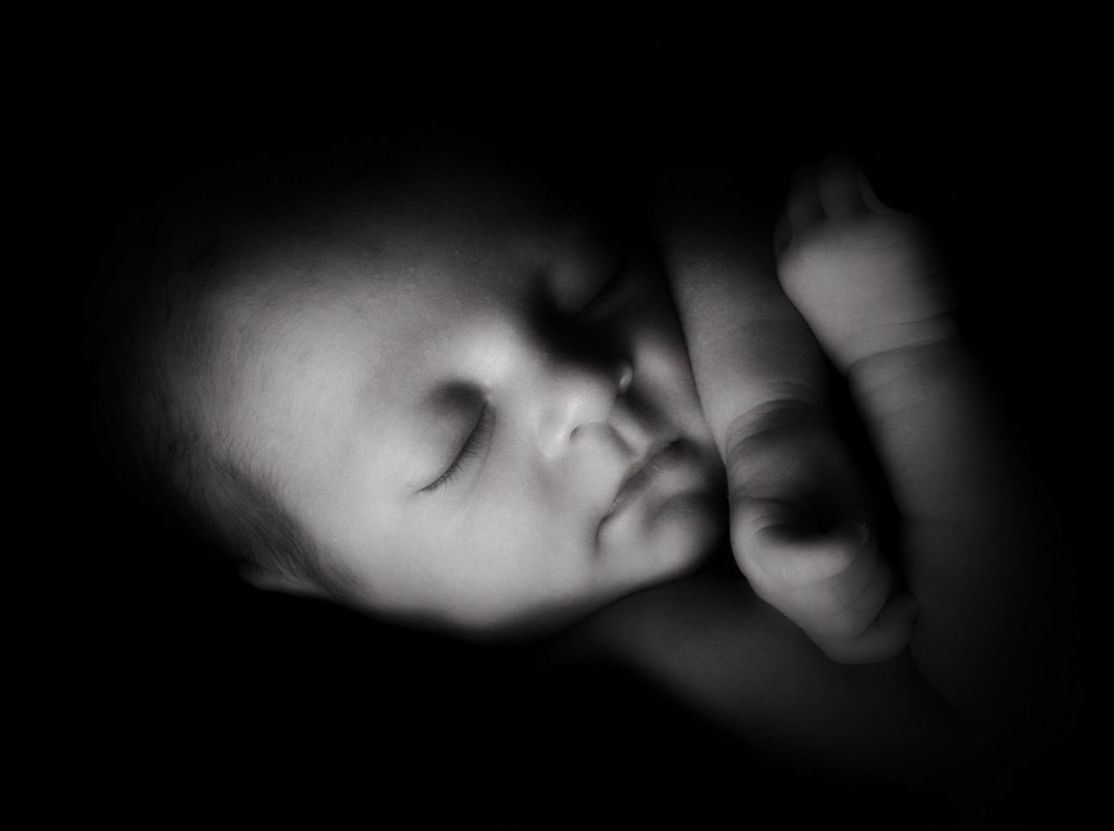 Janet Rhyne Photography