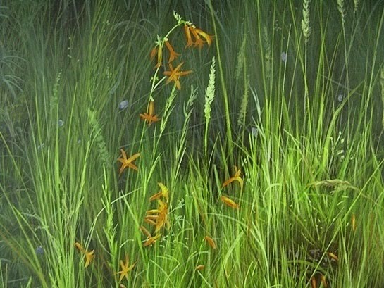 The Art of Peter Mathios