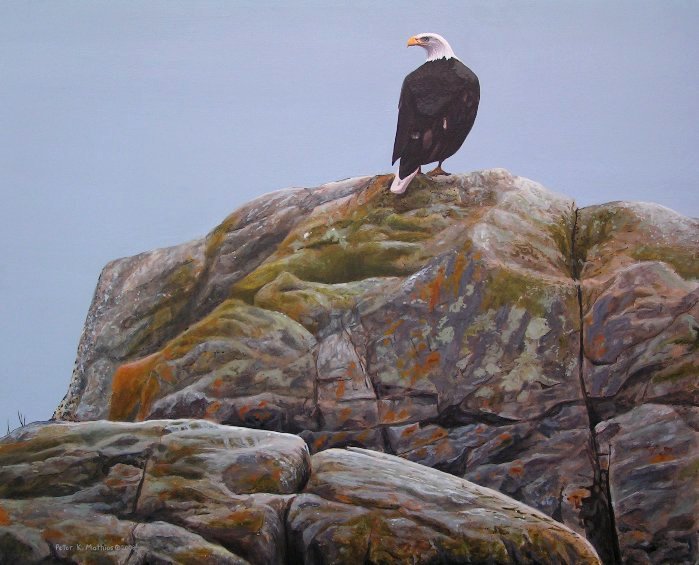 The Art of Peter Mathios