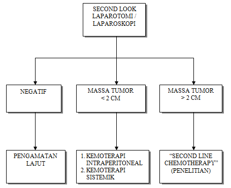 obgynmag: KANKER OVARIUM protap HOGI