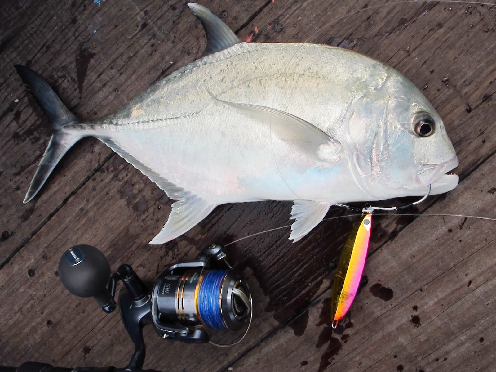 Tackle Source: JIG JIG JIG!