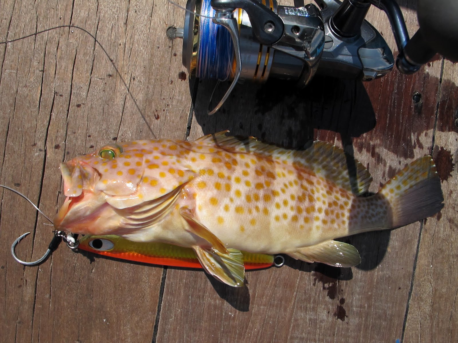 Tackle Source: JIG JIG JIG!