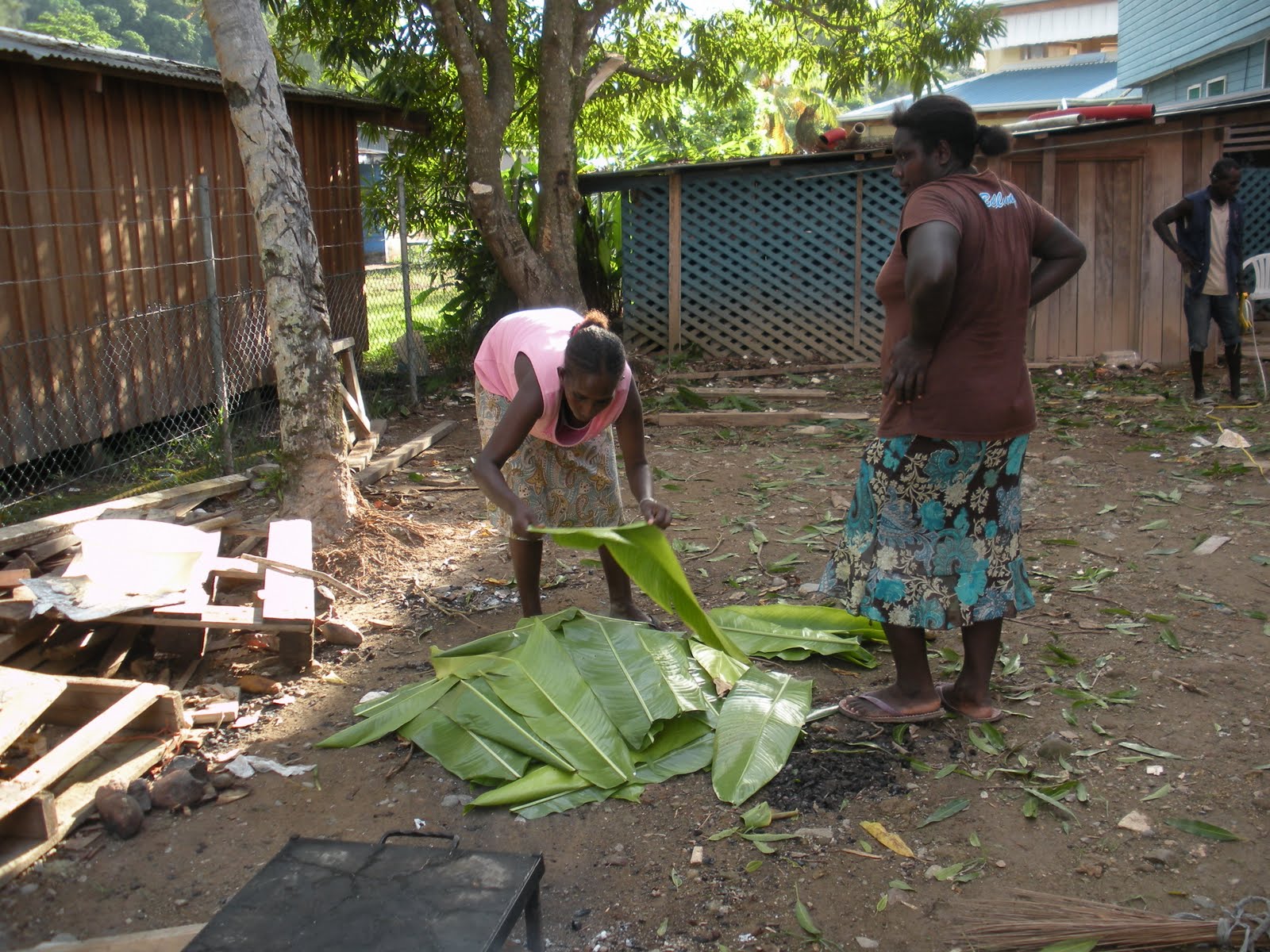 Project MAST: How to "Motu"