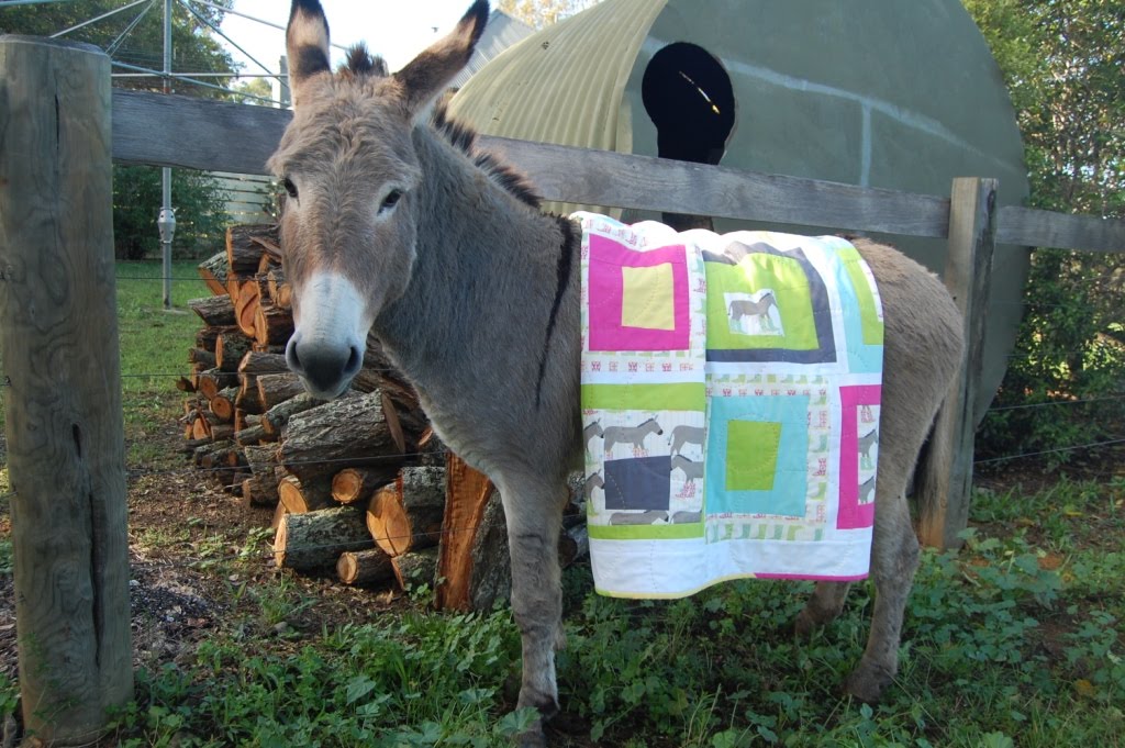 Laurie Wisbrun | Scarlet Fig: Ridiculously Ridonkulously Cute - Donkeys ...