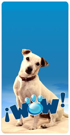 TELMEX TV SAT en moquegua