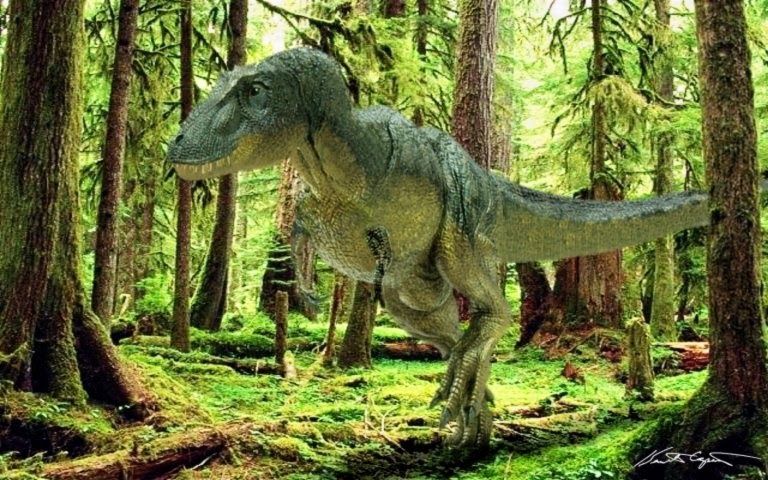Tiranossauro Rex | Dinos Tephix