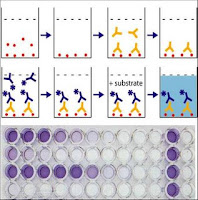 INMUNOHEMATOLOGIA: TECNICAS INMUNOLOGICAS