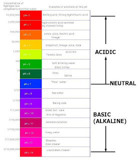 VaeVae's Blog: acid ph and bases.