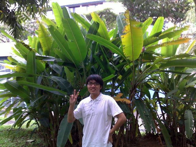 2011 T42 PSPS TP RACE, etutor Chee Swee Ann: T42 PSPS Reflection Blog