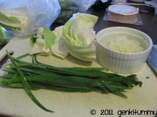 Genki Tummy: Korean Mandoo Making