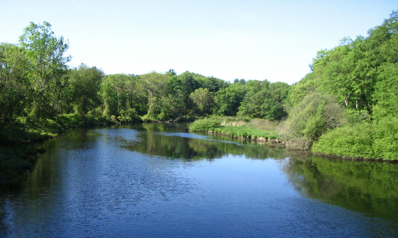 Dispatch from the Digital Health Frontier: Exploring the Charles River