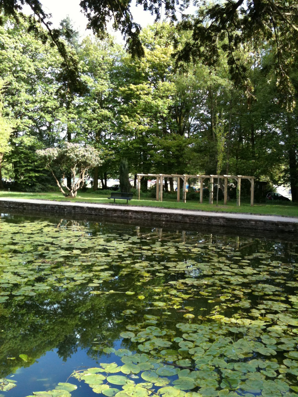 Britain in Bloom: Witton Park - Blackburn