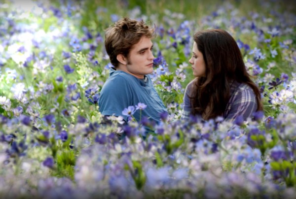 The Chronicles of Ardee: Twilight Saga: Eclipse Meadow Romantic