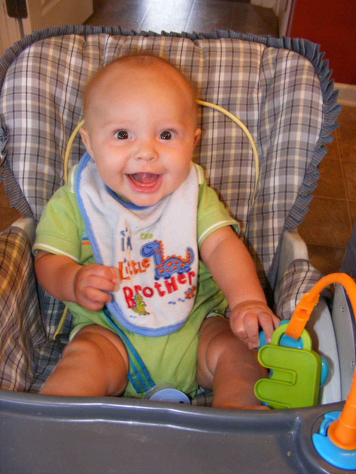 Another Day In Paradise: Mr. Rolley Polley is 5 Months Old