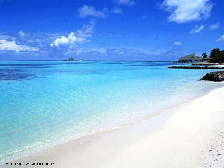 Peisaje de Vara Wallpapers Vara