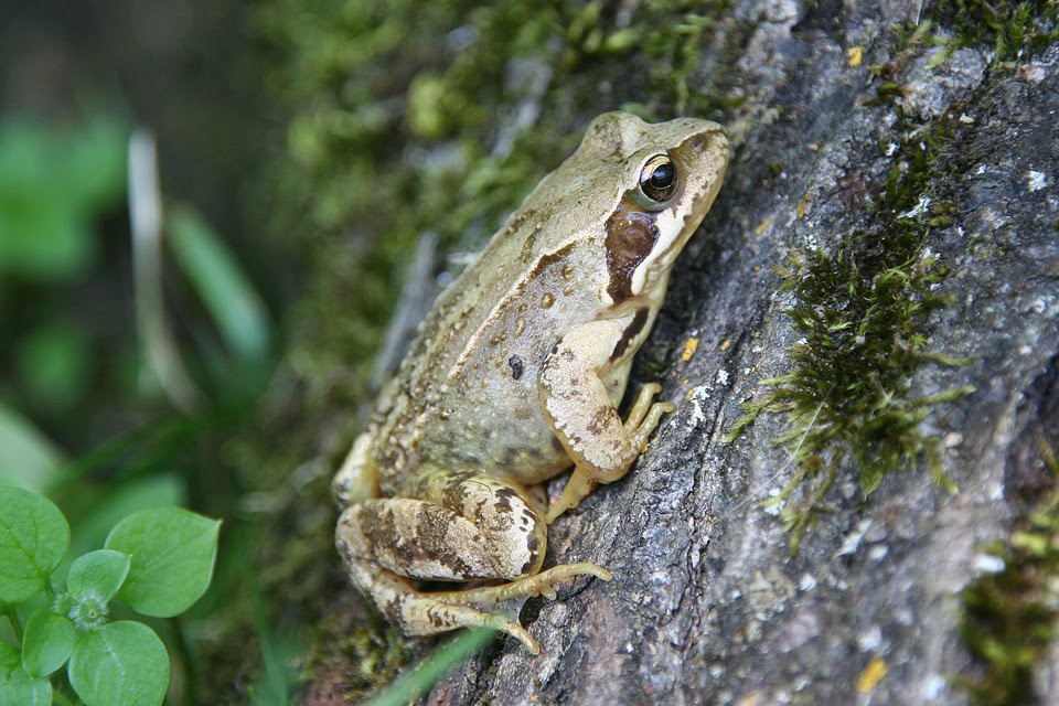 Totaalshot: september 2010