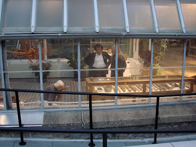 93Garden: Dorothy Barnes