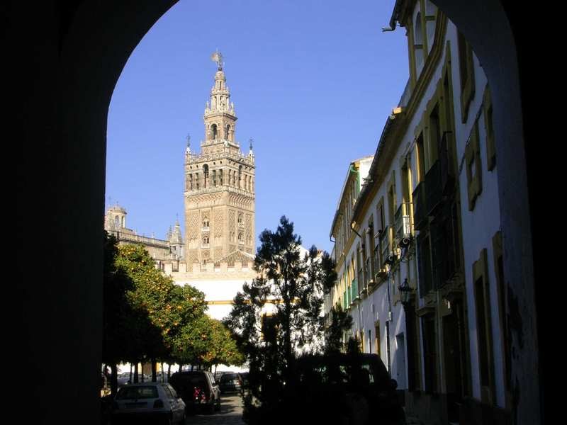 GALEON DE UTRERA: Flor de azahar en Sevilla.