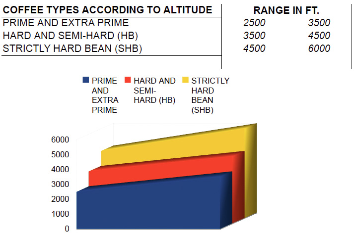 Guatemalan Coffee: Coffee Altitude