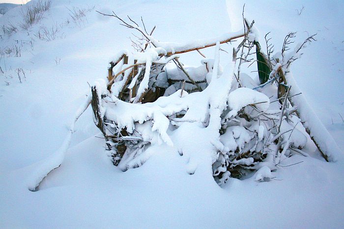 WILDERSTUDIO - artwork by Jules Cadie