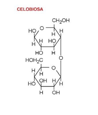 LA BOLSA ROJA: 001_GLÚCIDOS (TRANSPARENCIAS)