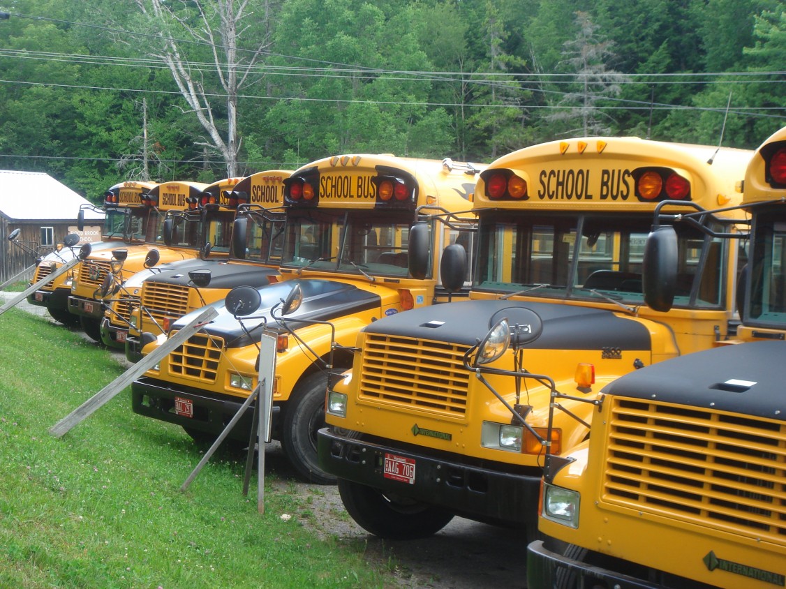 Flies in your Teeth: Vermont and the Bridge of Flowers