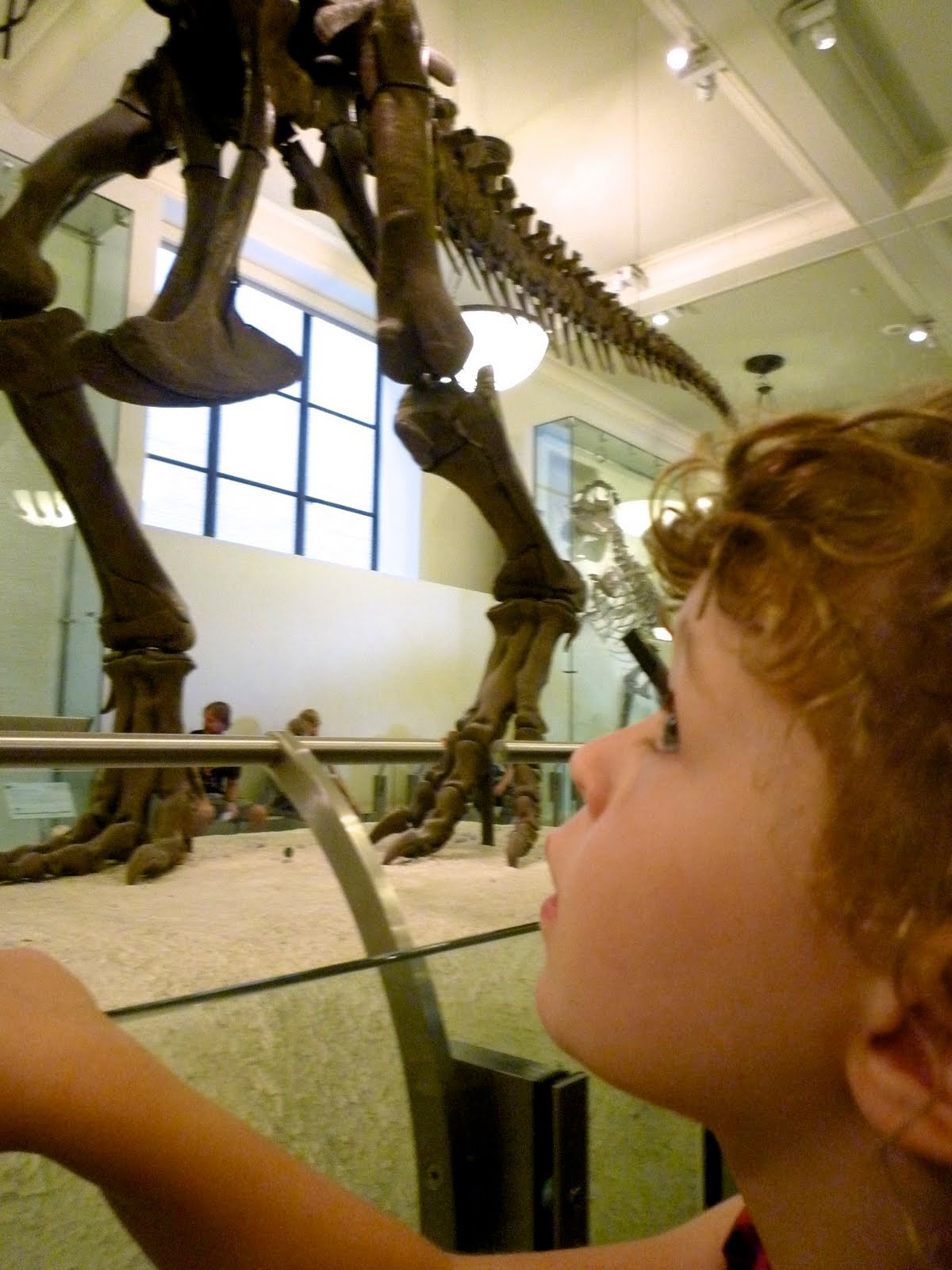 Sophie Jane: fossil exploration