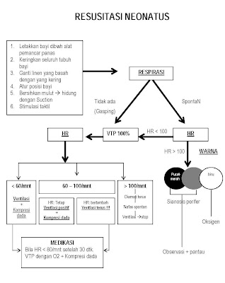 Ruang Periksa Dokter: Skematik Resusitasi Neonatus