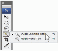TSRI Software Tips: The Quick Selection Tool in Photoshop CS3