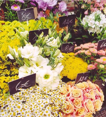 Isabel Becker - Reverbera, querida!