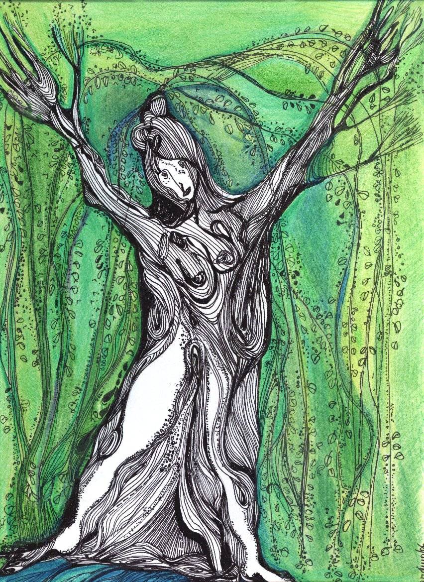 el mirador de les dones: WANGARI MAATHAI, la dona arbre