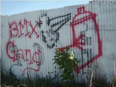Graffitis de bmx - Imagui