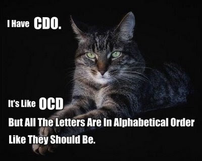 Sober in a Nightclub: OCD Cat