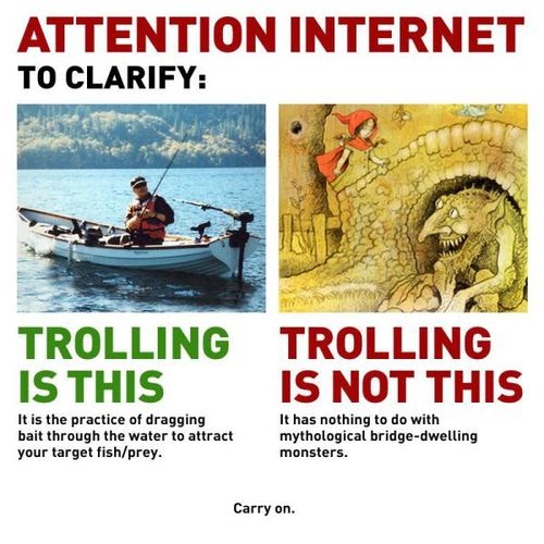 Sober in a Nightclub: Definition of Internet Trolling