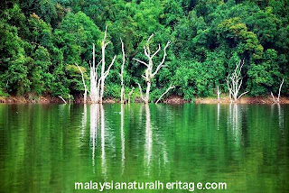 Natural Heritage of Northern Peninsular Malaysia: Ulu Muda Forest Reserve