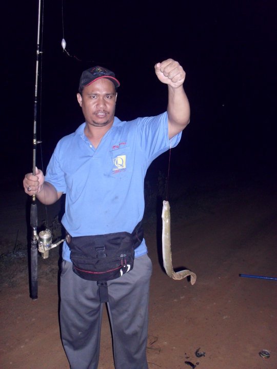 Puakajoran.blogspot.com: Ikan Linang Tali Air Pancur, Bukit Merah