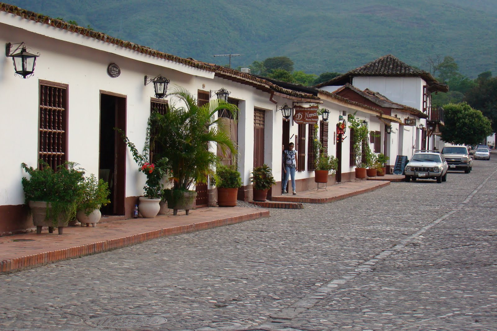 VIDA Y TURISMO: SAN PEDRO DEL RIO