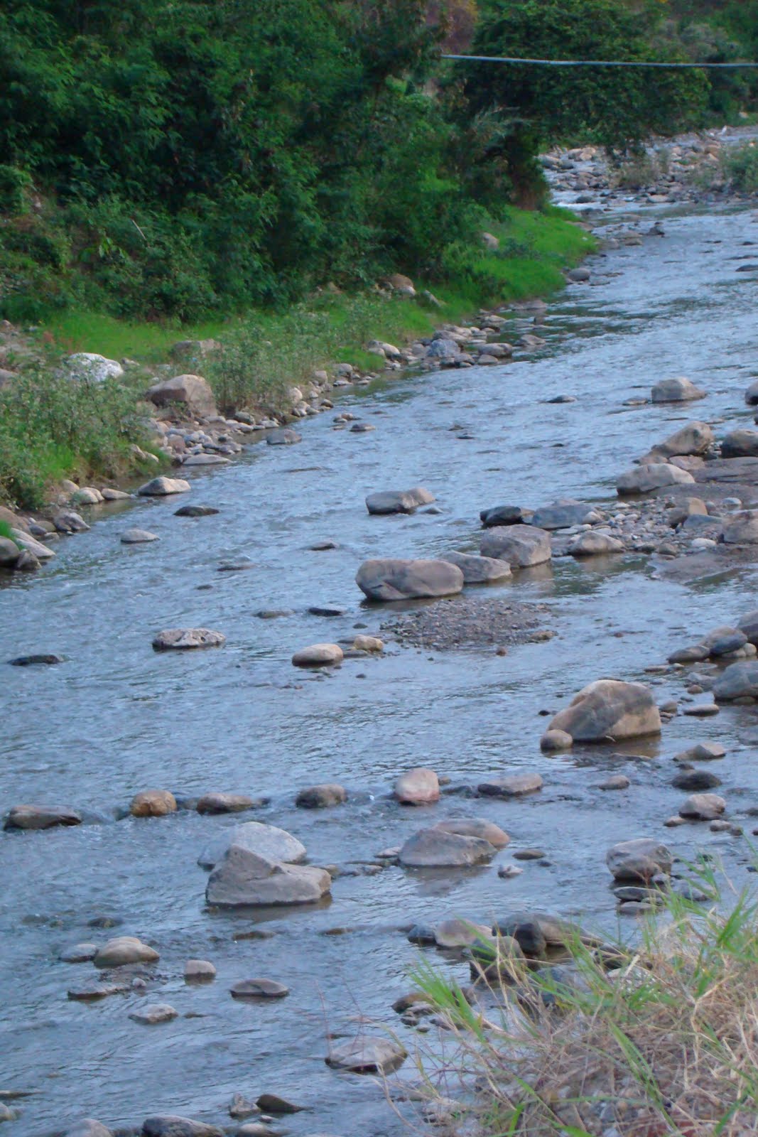 VIDA Y TURISMO: SAN PEDRO DEL RIO