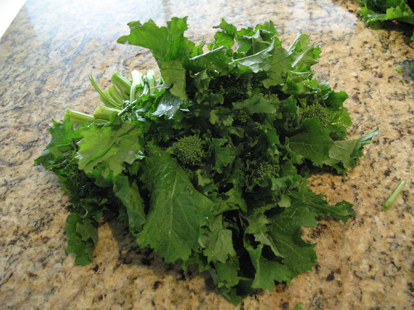 Anna's Table: Rapini