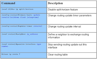 Cisco Review: January 2009