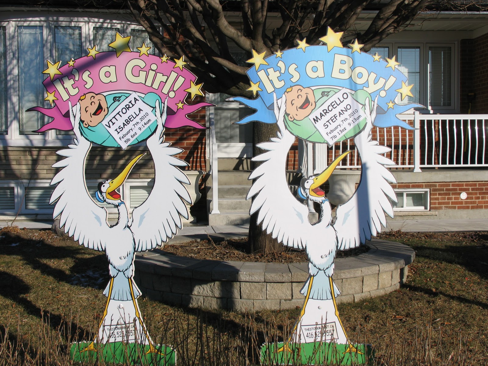 TheStorkMarket: Lawn Stork's Birth Announcements, Stork rental, Baby ...