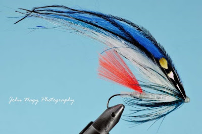John Nagy's Steelhead Journal: The Blue and White Temple Dog Tube Fly ...