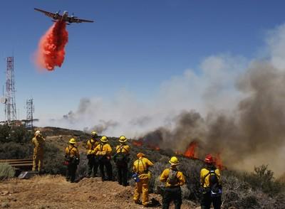 Virginia Wildfire Information and Prevention: Complex Incident ...