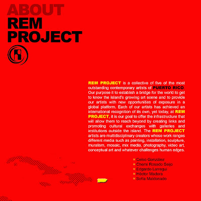 REM PROJECT
