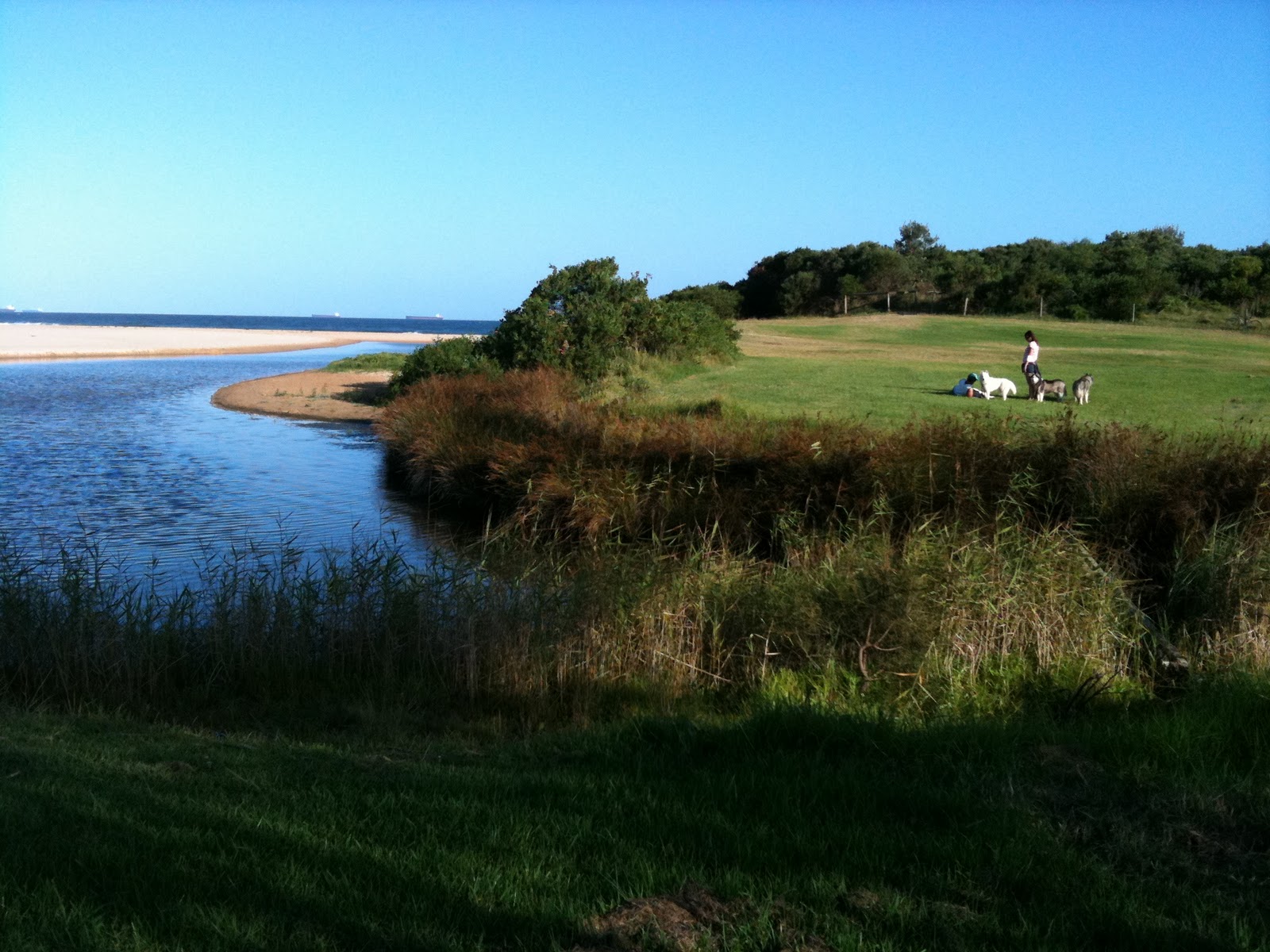 Illawarra Beaches - Bellambi Point
